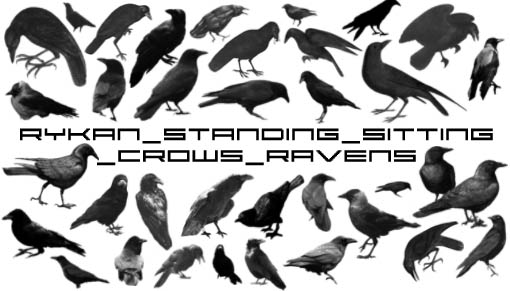 Standing_Crows_Raven brushes by Rykan on DeviantArt