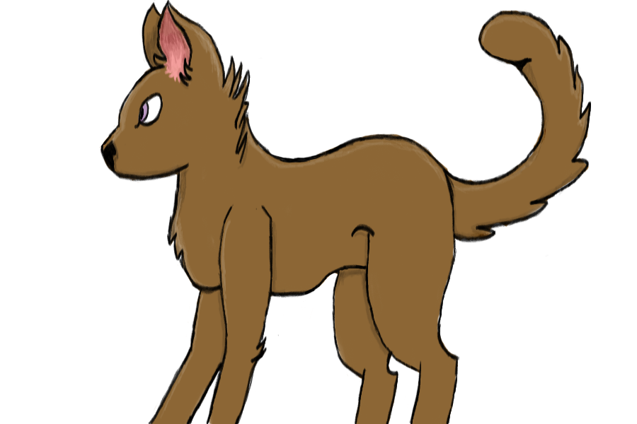 Alleycat by Saphireandfirusforer on DeviantArt
