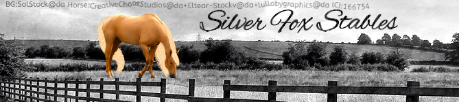 Silver Fox Stables Banner by Cazzie77 on DeviantArt