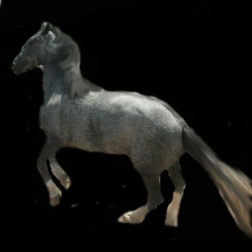 Blue Roan Rearing Precut by Cazzie77 on DeviantArt