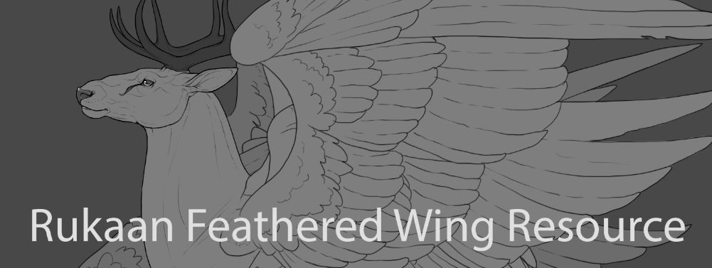 FoV Resource | Feathered Wings by Bellum-Letale on DeviantArt