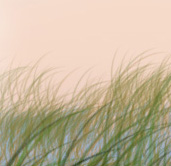 Flying Doodle by griffsnuff on DeviantArt