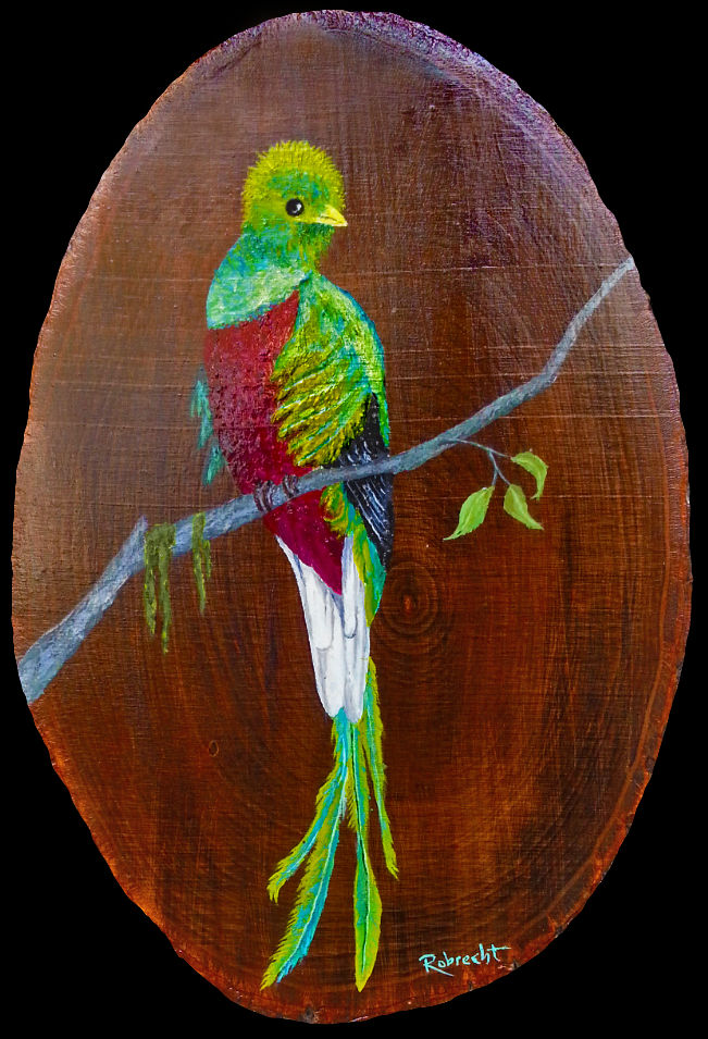 Resplendent Quetzal by innate-inspirations on DeviantArt