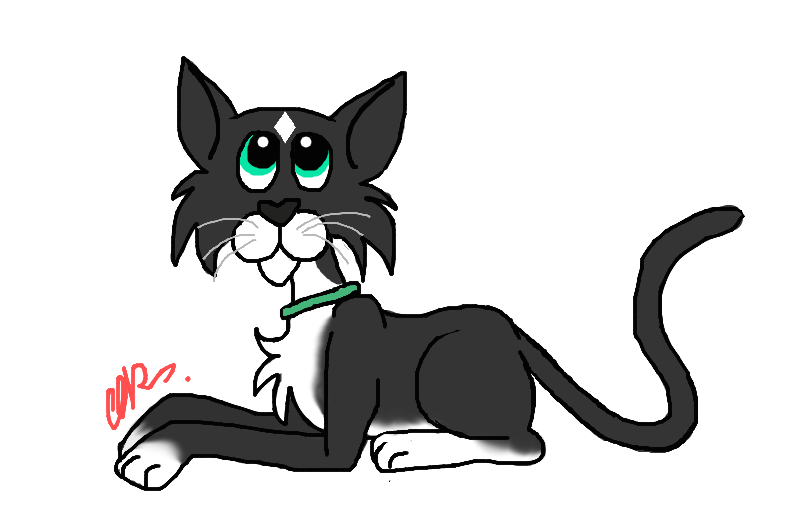 Tuxedo Cat by Timelord909 on DeviantArt