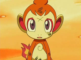Shying Away Chimchar! by Pohlranda3 on DeviantArt