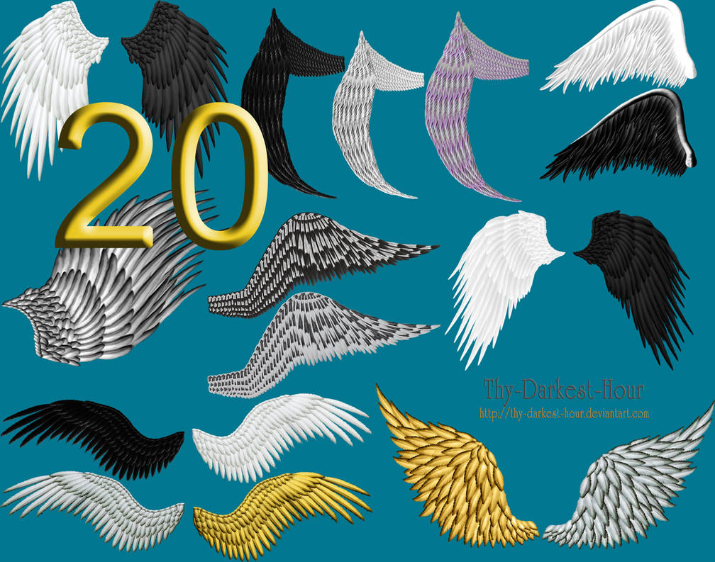 Pack 01 - 18 Feathered Wings by Thy-Darkest-Hour on DeviantArt