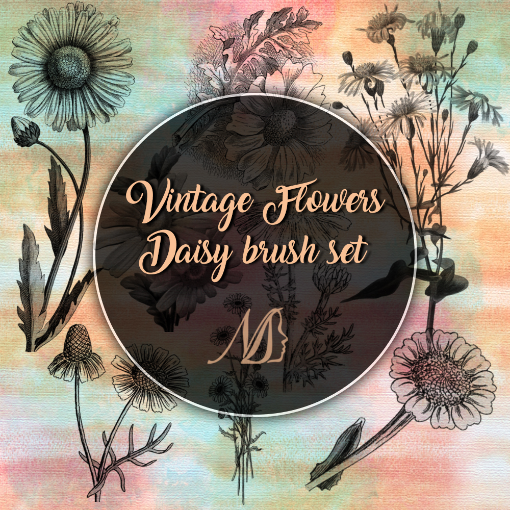 Vintage Flowers - Daisy brush set by NicoleDesign79 on DeviantArt