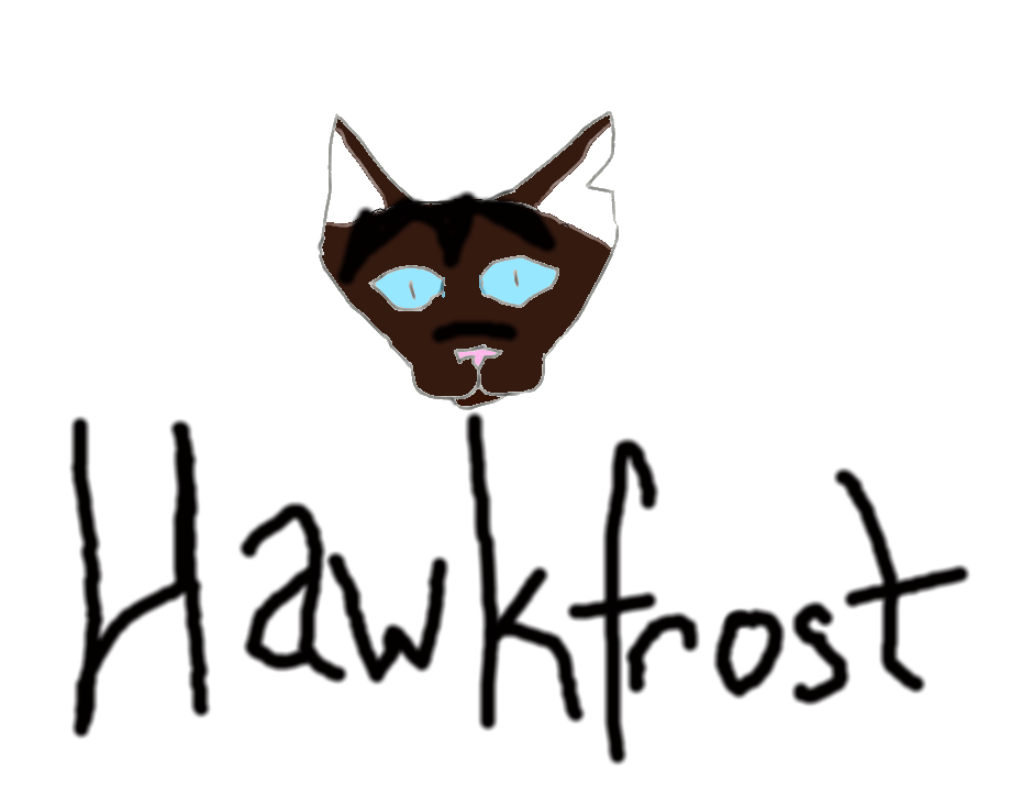 Hawkfrost by nutellawarriorcatfan on DeviantArt