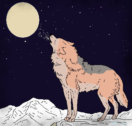 Midnight Howl by Akruwolf280 on DeviantArt
