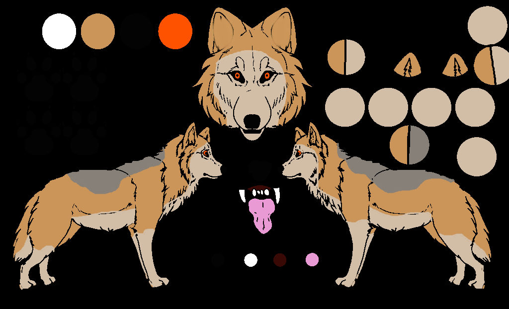 Akru's Detailed Reference by Akruwolf280 on DeviantArt