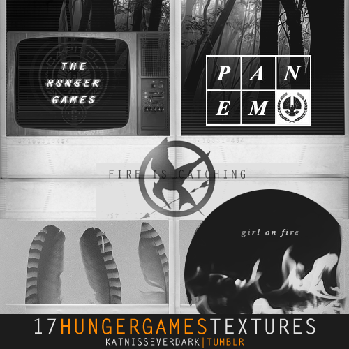 hunger games textures pack by Sx2 on DeviantArt