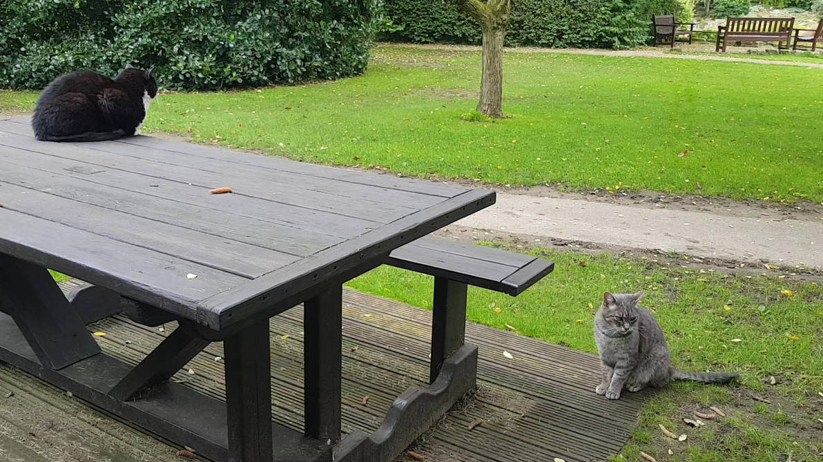 I'm coming to see Felix..wait..he's swapped tables by CatonaBlade on ...