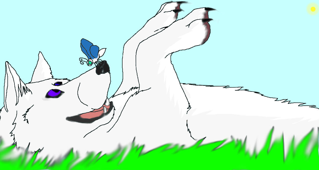 wolf and butterfly by gena100 on DeviantArt