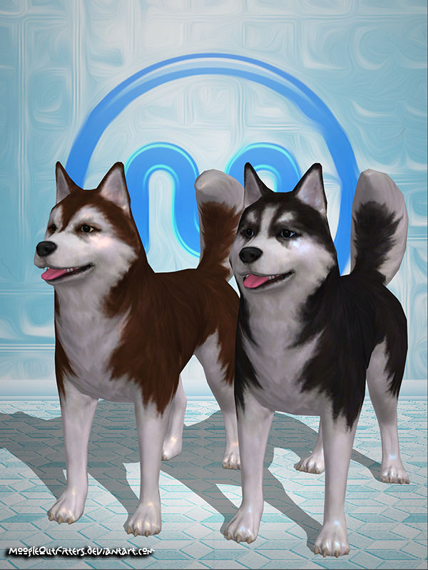 Mstar Husky By Moogleoutfitters by ExtraActively on DeviantArt