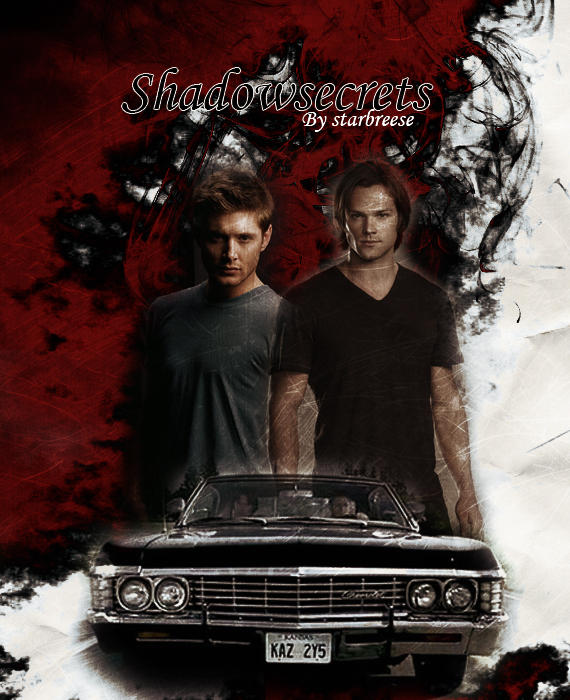 Shadowsecrets 8 by starbreese on DeviantArt