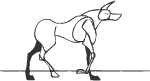 Quadruped Walk Cycle by AshesDust on DeviantArt