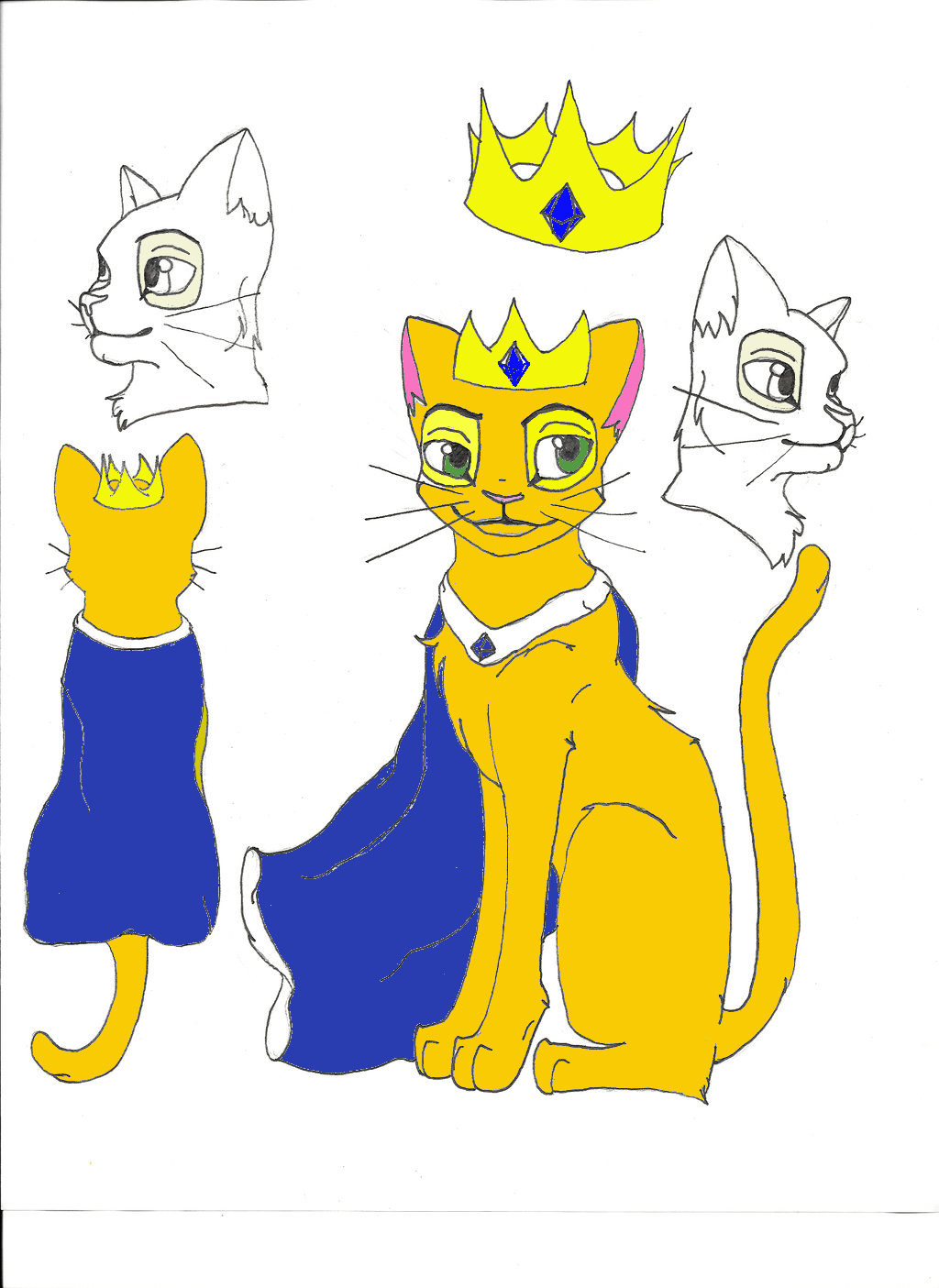 King Cedric the First (reference sheet) by DisneyGirlForever2 on DeviantArt