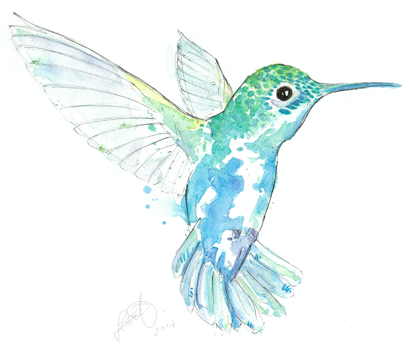 Blue Hummingbird Drawing