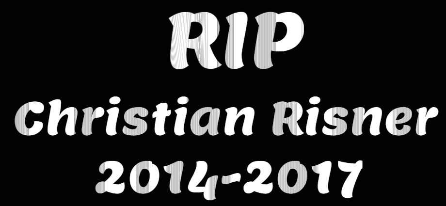 RIP Christian Riser 2014-2017 by EarWaxKid on DeviantArt