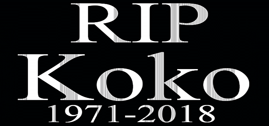 RIP Koko 1971-2018 by EarWaxKid on DeviantArt