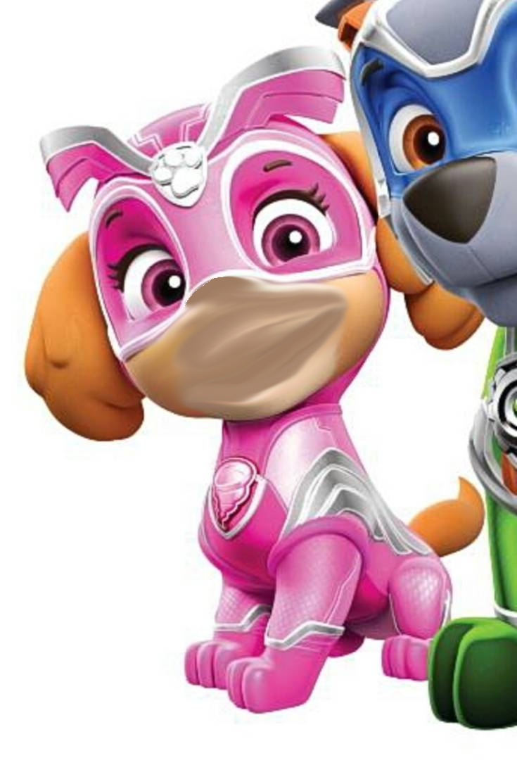 Mighty Skye Noseless and Speechless by EarWaxKid on DeviantArt