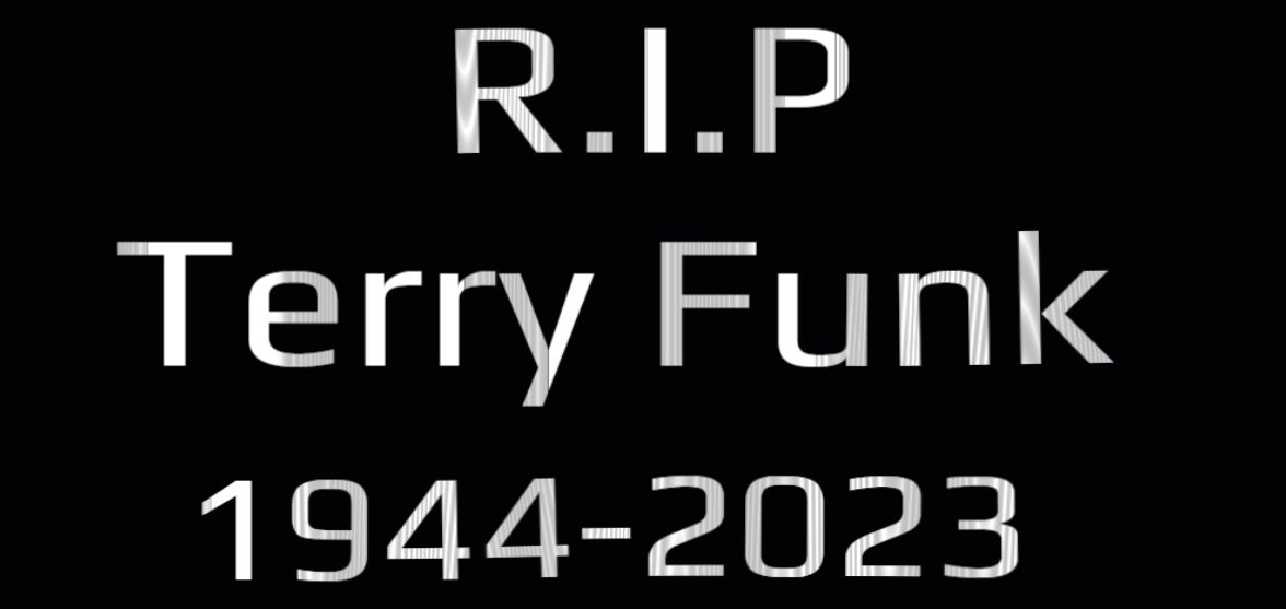 RIP Terry Funk 1944-2023 by EarWaxKid on DeviantArt