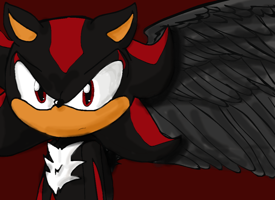 Shadow Angel by Blissthehedgehog on DeviantArt