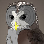 Barn Owl Creator by Earldense on DeviantArt