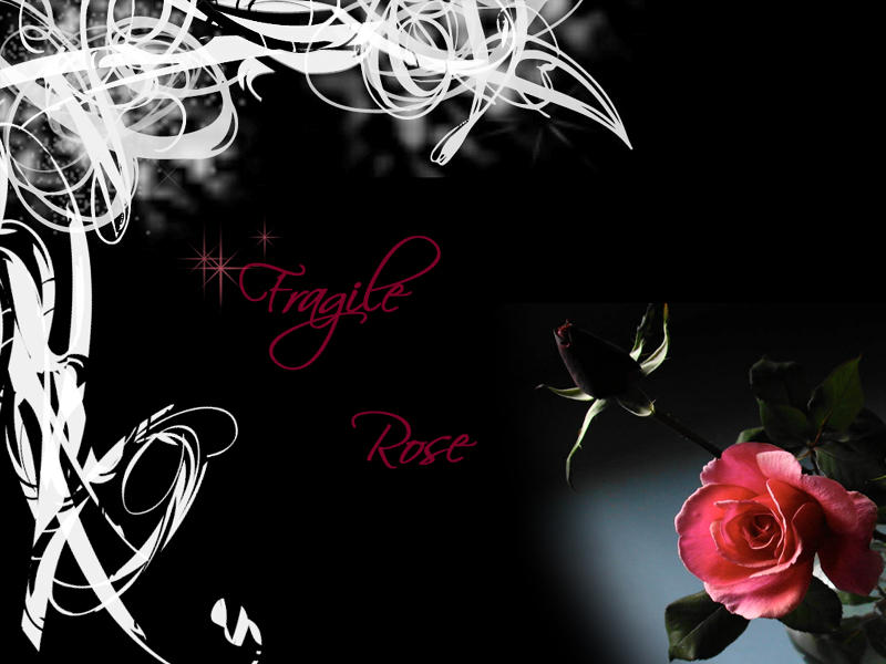 Fragile Rose by tearzdr0p on DeviantArt