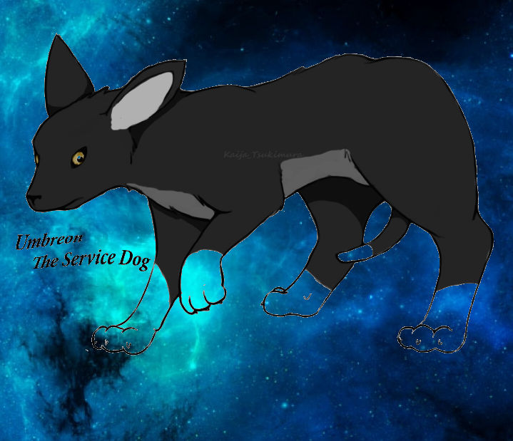 Umbreon Finished by Kaija-Tsukimura on DeviantArt
