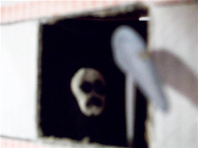 Bus stop carnage by grimjoe90 on DeviantArt