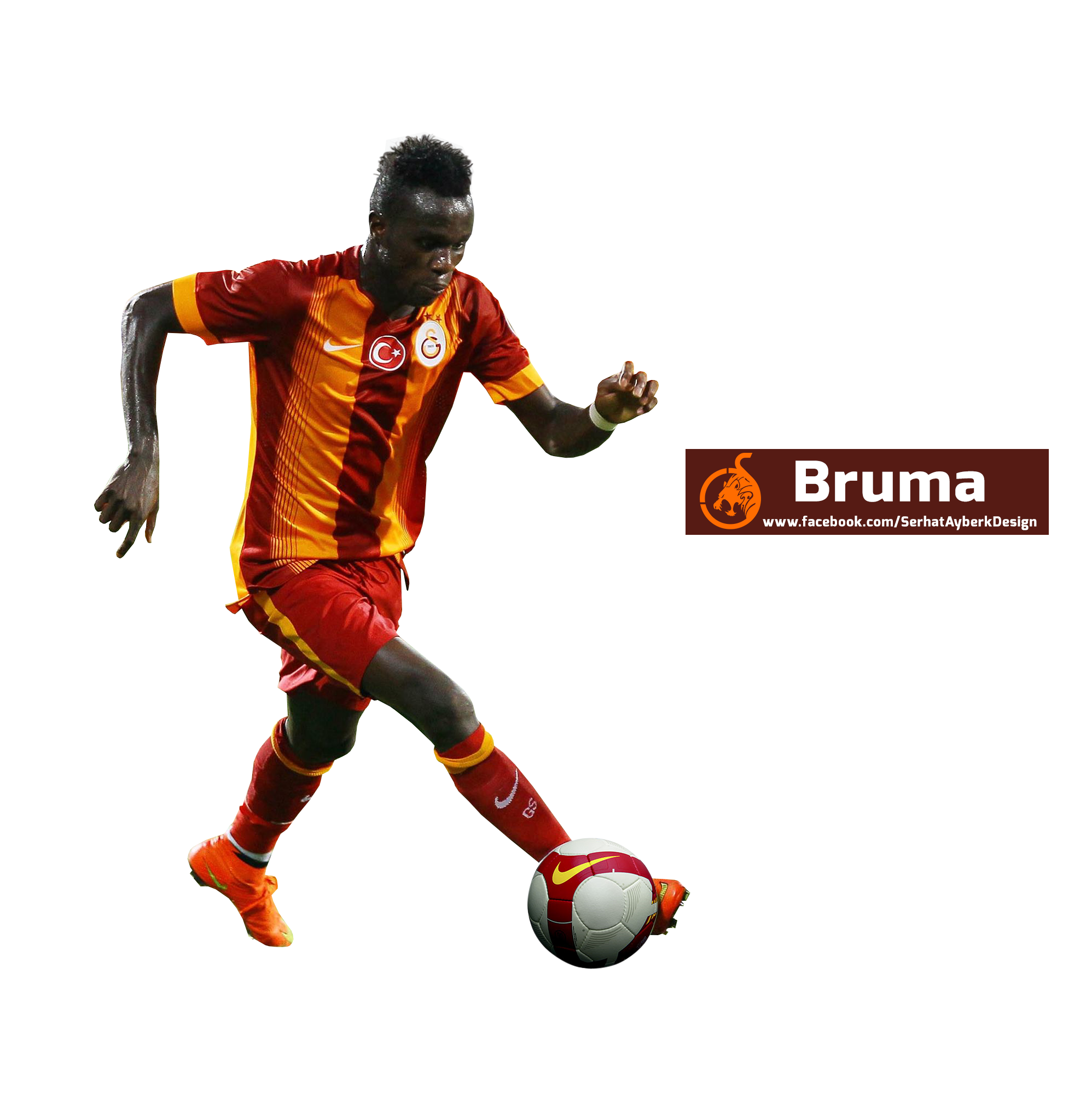 Bruma render by srhtaybrk on DeviantArt