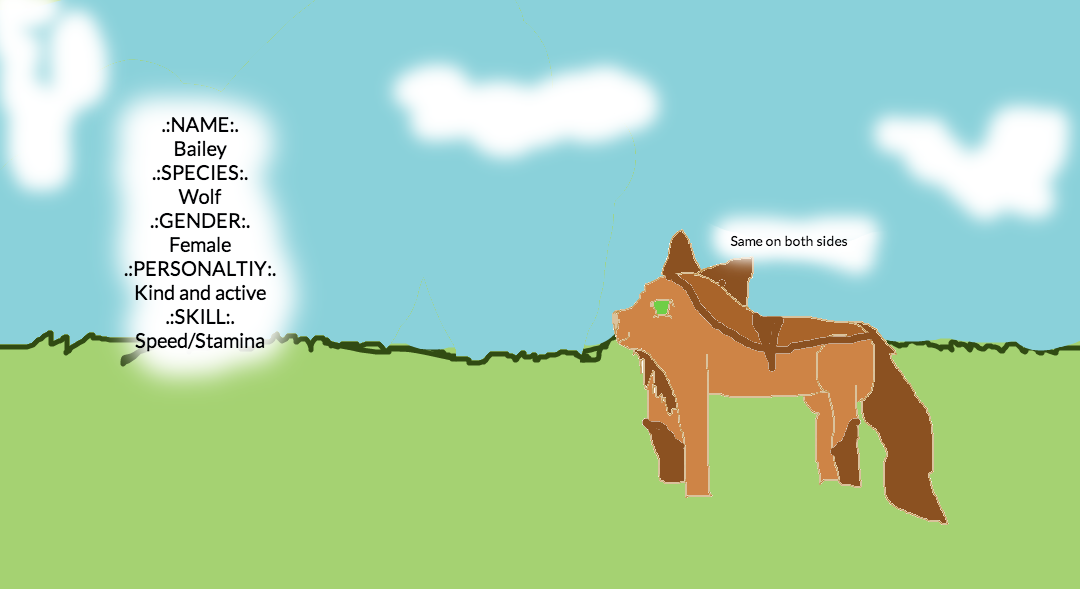 Bailey Refrence by SilverTundraFox on DeviantArt