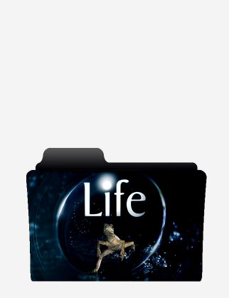 BBC Life folder icon by astr0man on DeviantArt