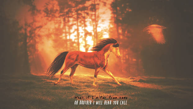 Miggers-DSE - Hobbyist, General Artist | DeviantArt