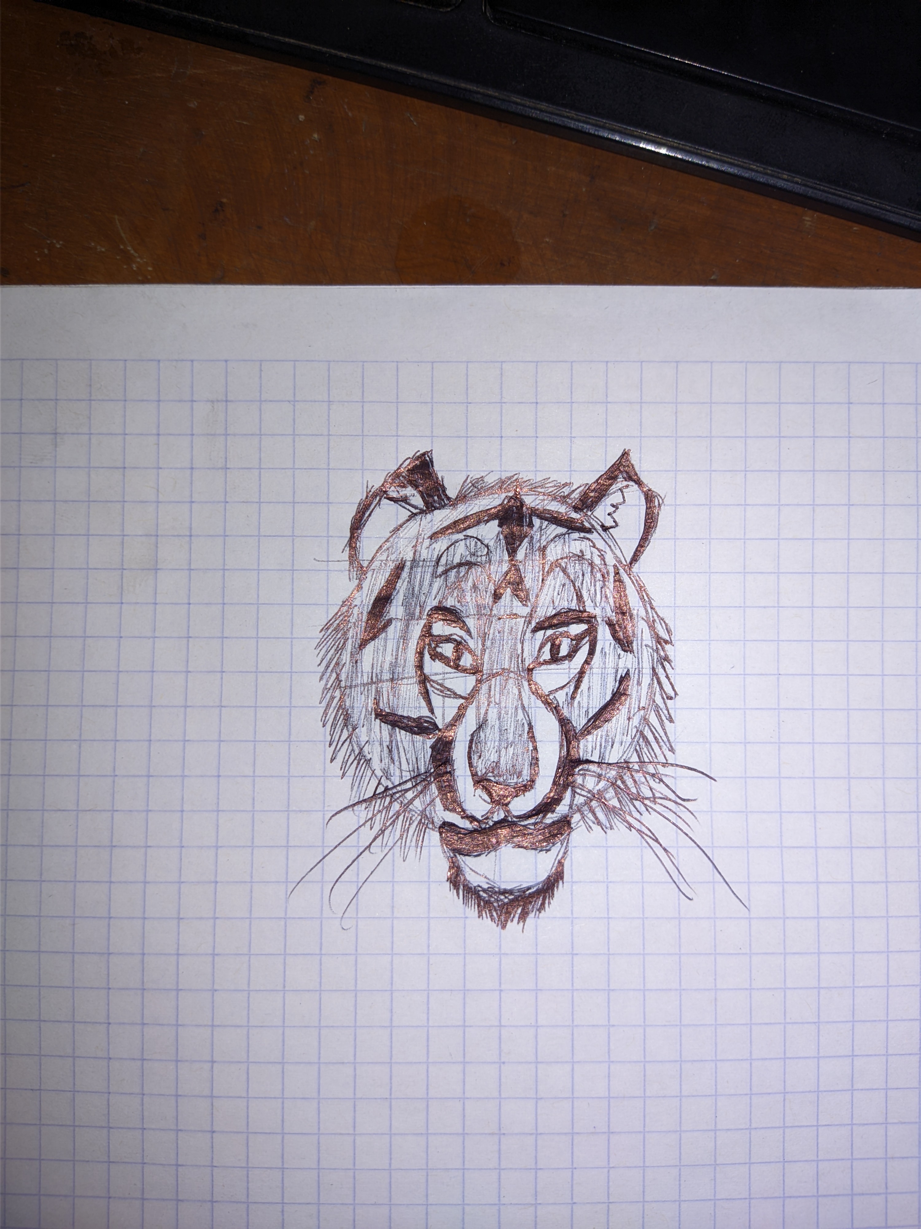 Tutorial tiger #DATutorialTiger by dertio77 on DeviantArt