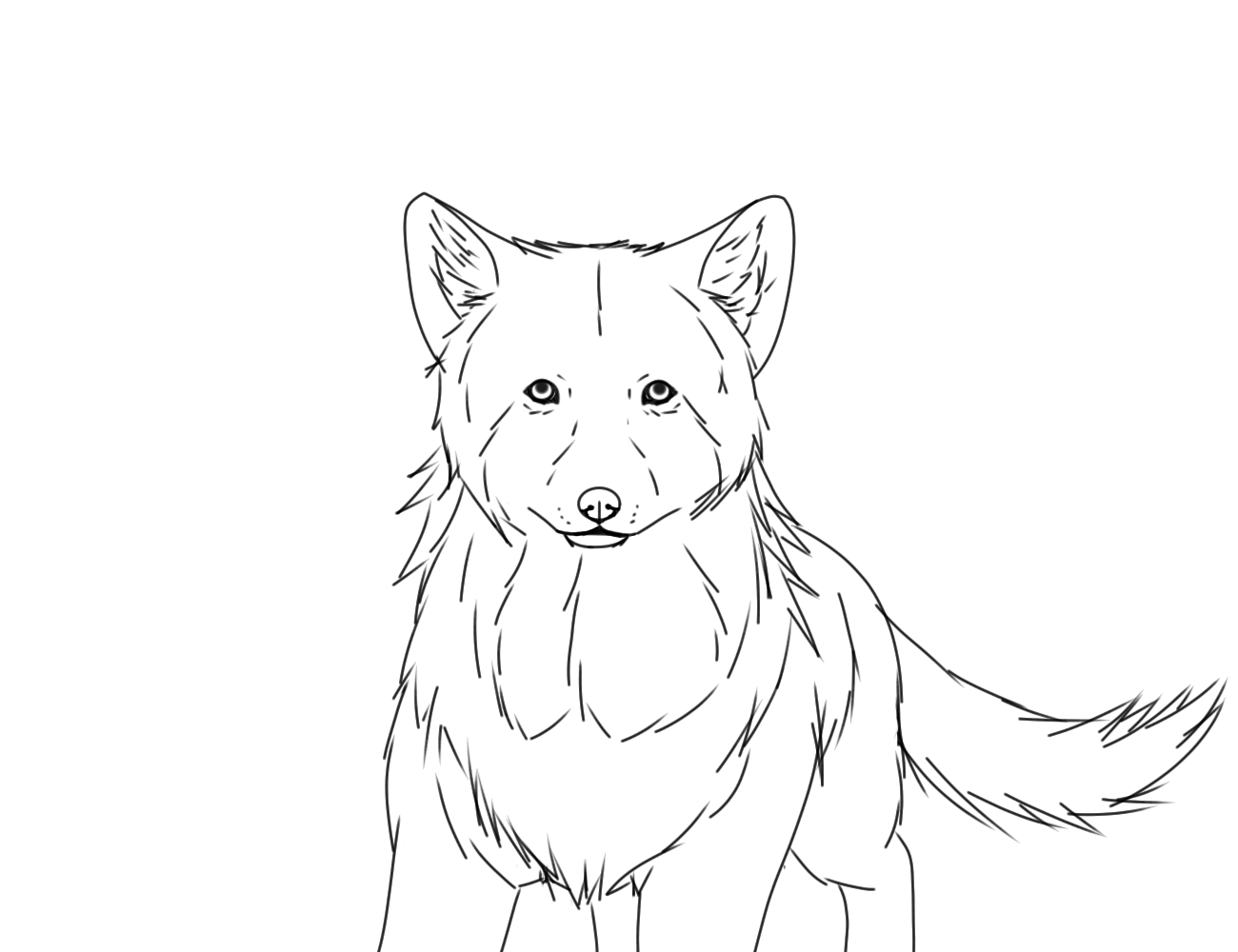 Fluffy Wolf Lineart by Miku-Nyan02 on DeviantArt