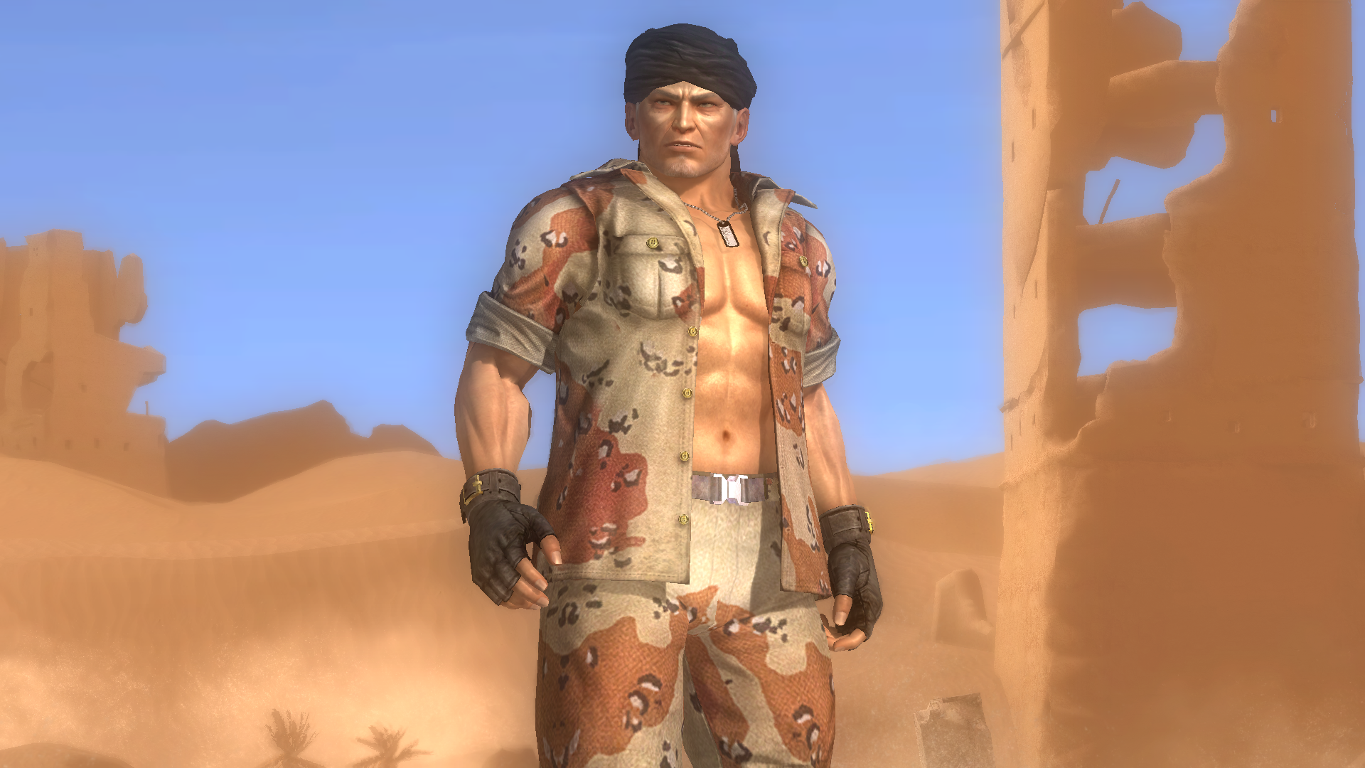 DOA3 C1 for Leon in DOA5LR by KyleKatarn1980 on DeviantArt