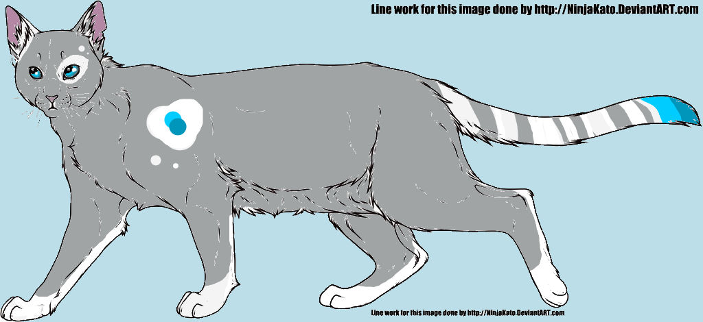 Random Cat by AdineArts on DeviantArt