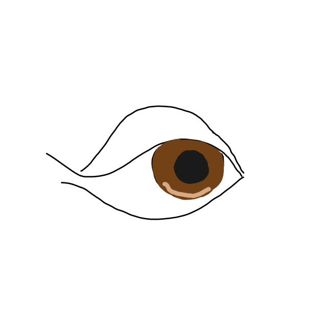 11-8-2022 Simple Eye dyN2022 by cocoaberi on DeviantArt