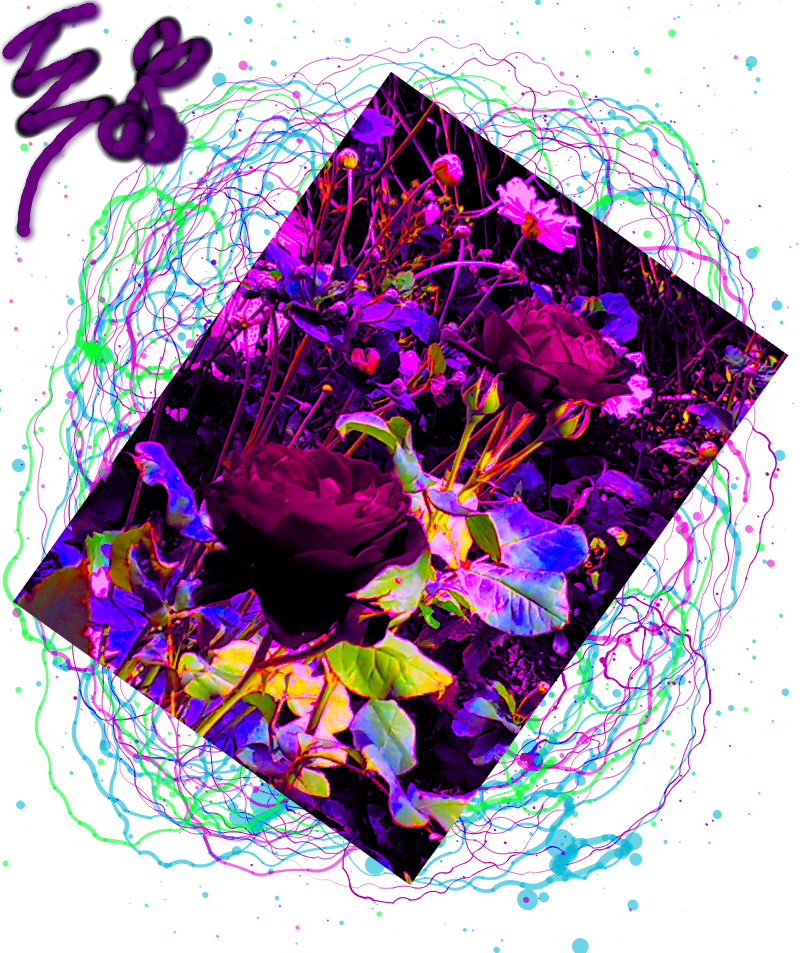 Oblique by ThanasiaNightfall on DeviantArt