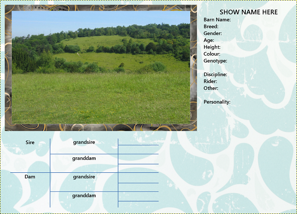 Free Ref Template - GIMP by VelocityRanch on DeviantArt