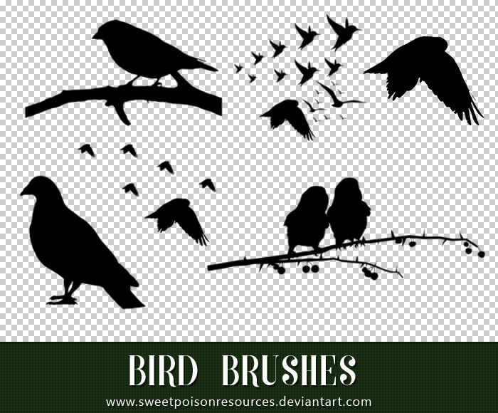 Bird Brushes 002 | Photoshop by sweetpoisonresources on DeviantArt
