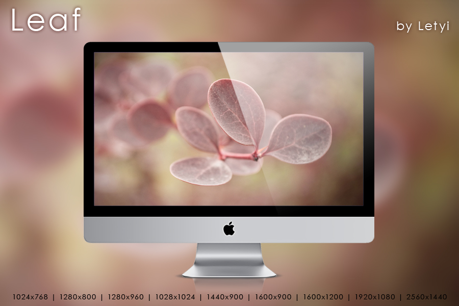 Leaf by Letyi on DeviantArt