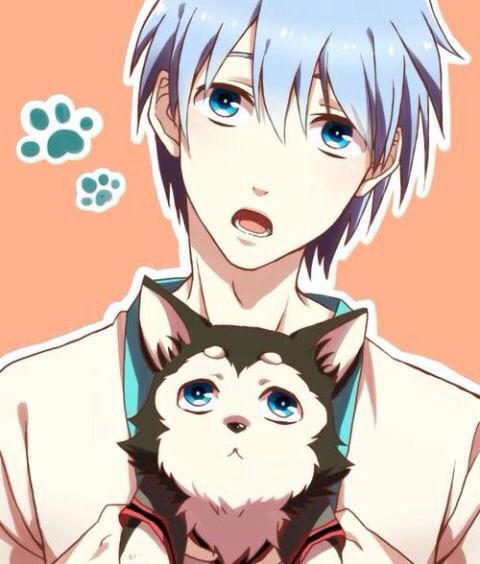 Tetsuya Kuroko X Reader (Dog Treats) by 2AnimeBuddies on DeviantArt