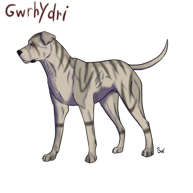Pitt bull oc by WarriorCatLover156 on DeviantArt