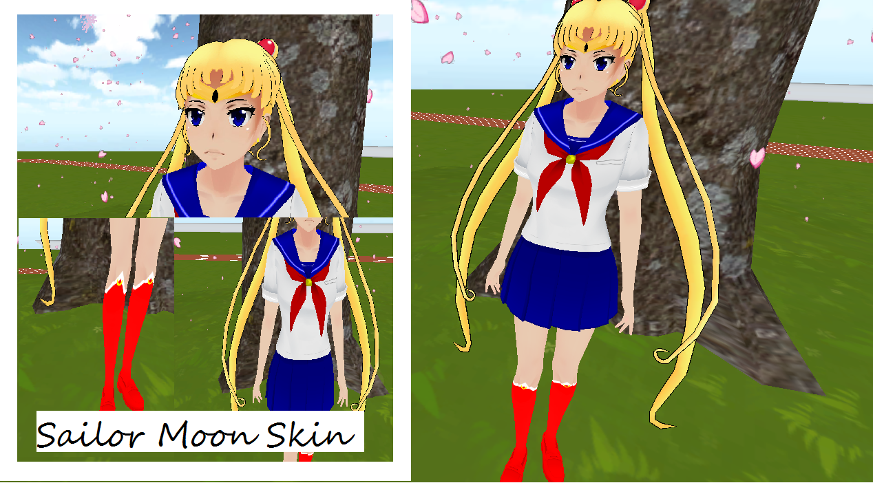 Sailor Moon Skin by kizanxsunobu on DeviantArt