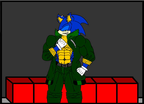 Buff Punk Sonic by SUPREMOXQ15 on DeviantArt