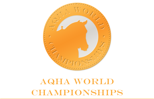 AQHA Journal Skin by Tigglesaurus on DeviantArt