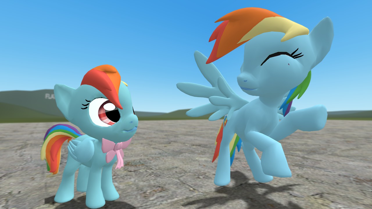 Rainbow Dash Gmod